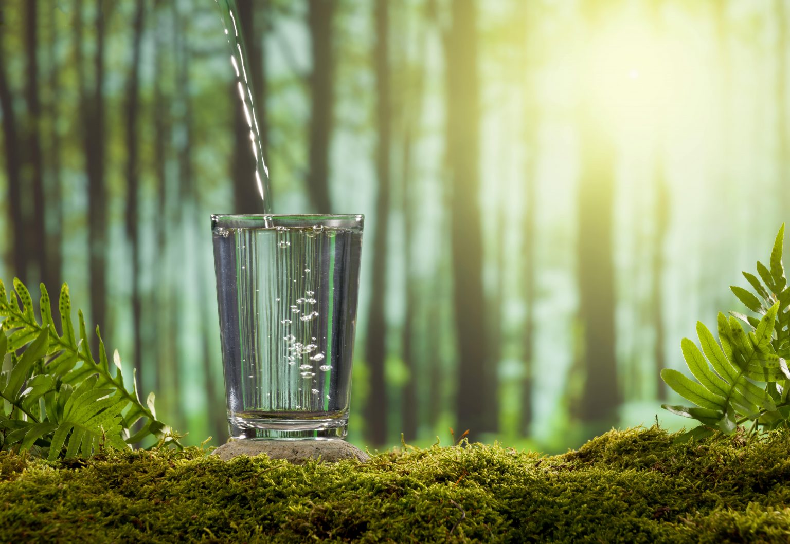 What Is The Best Water To Drink? Alkaline, RO, And Spring Water ...